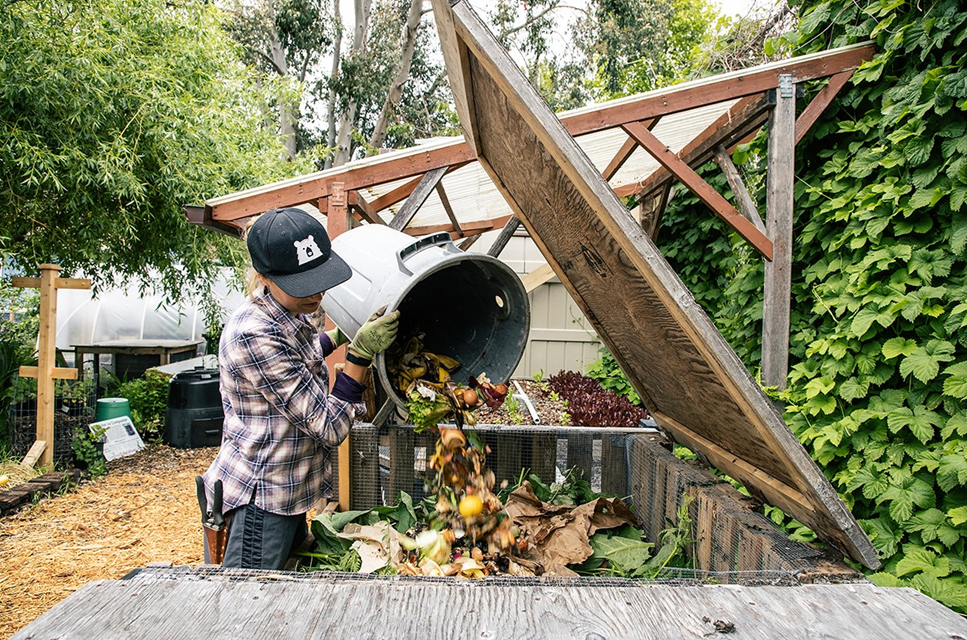 CEC & BCIA Collaboration - Lunch and Learn PD Webinar: Advanced Composting | BC Institute of ...